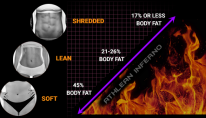 Fat Burning Workout Plan - MAX SHRED | ATHLEAN-X
