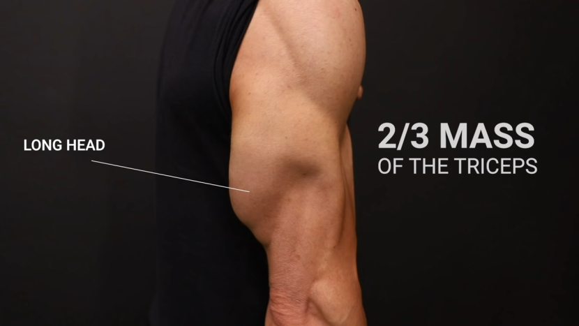 How To Get Big Triceps | ATHLEAN-X